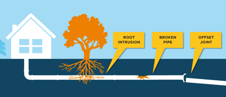 5 Signs You May Have a Broken Sewer Line - Schrader Plumbing